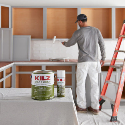 Masterchem KILZ® Mold & Mildew Interior | Exterior Primer - Moscow, ID ...